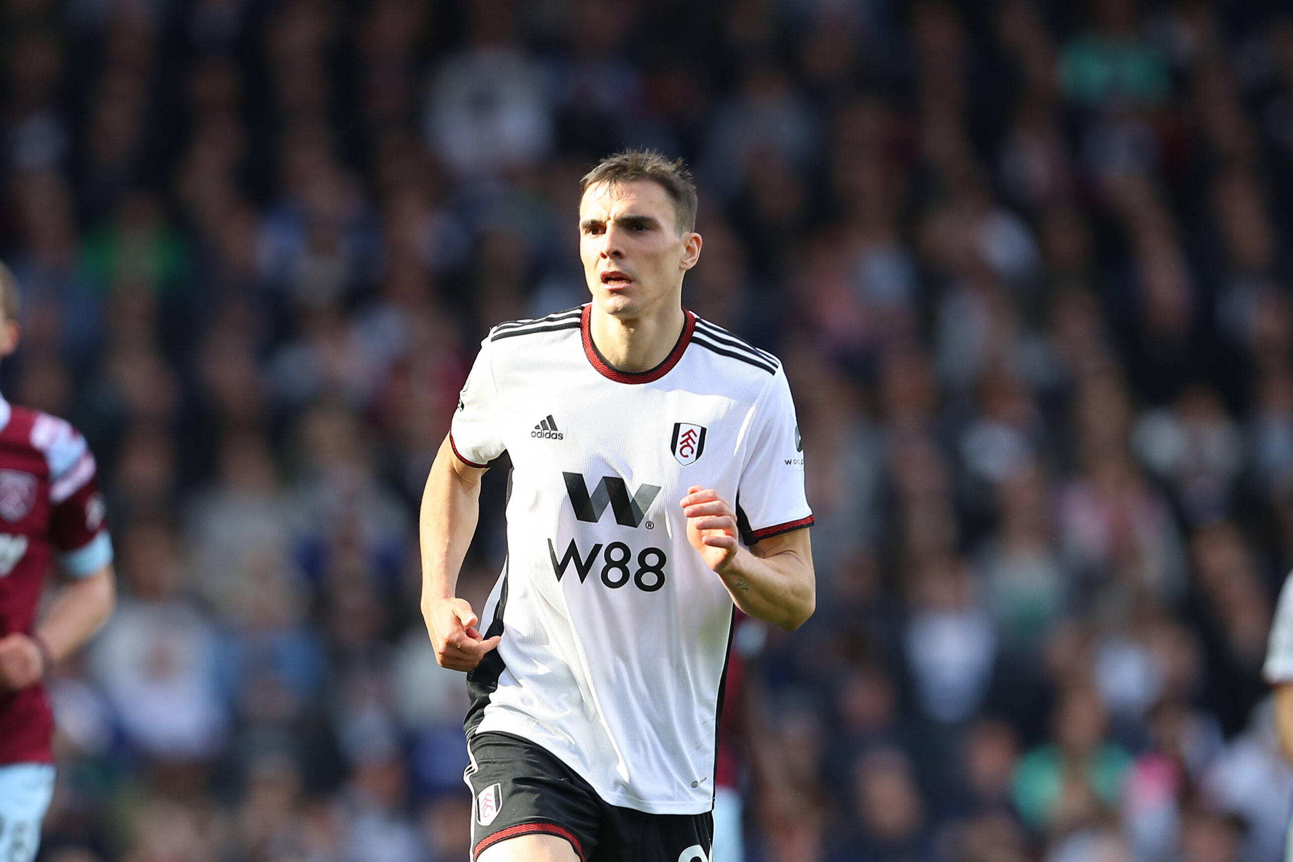 Joao Palhinha Transfer Latest Fulham Seeking Replacements With
